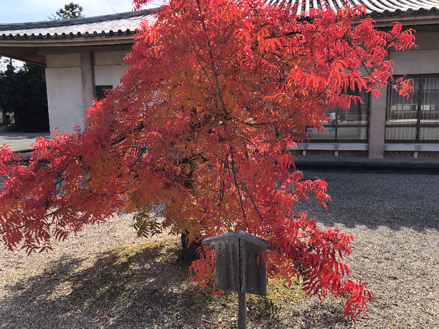 YKT-01 | 上村製作所